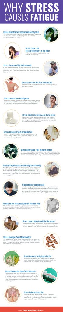 Why Stress Causes Fatigue and How To Overcome Stress - The Energy Blueprint