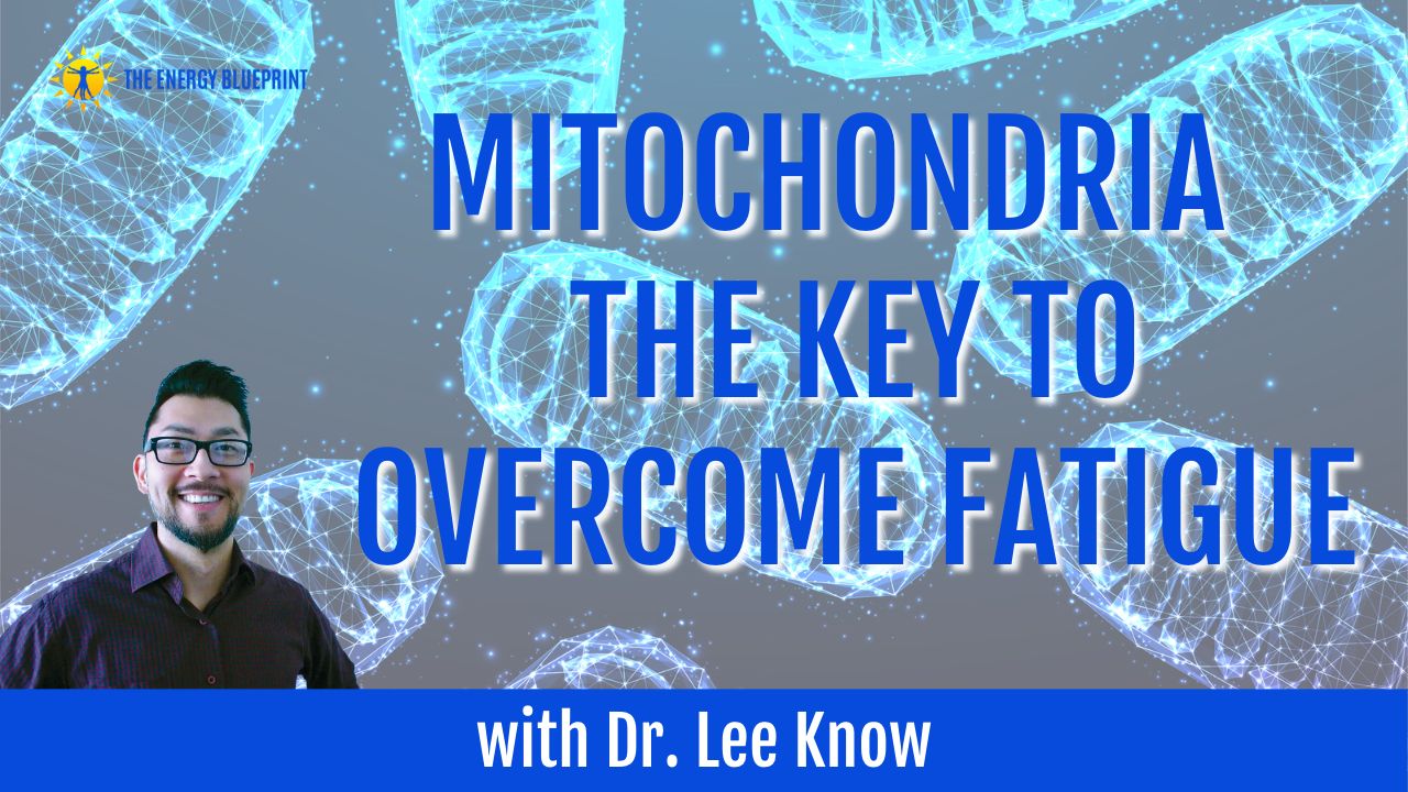 Why Mitochondria Are The Key To Overcome Fatigue (And How To Increase ...