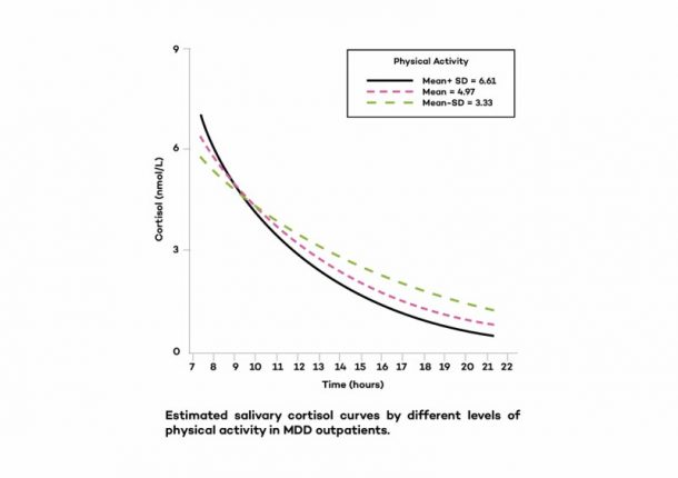 The REAL Causes Of Low Cortisol Levels and How To Fix It - The Energy ...