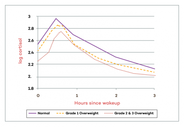 The REAL Causes Of Low Cortisol Levels and How To Fix It - The Energy ...