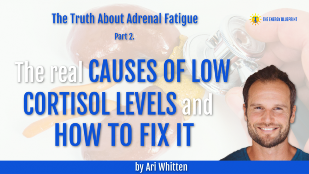 The REAL Causes Of Low Cortisol Levels and How To Fix It - The Energy ...