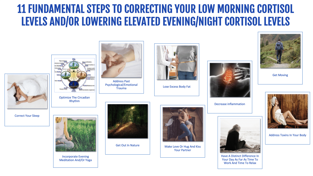 The REAL Causes Of Low Cortisol Levels and How To Fix It - The Energy ...