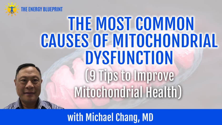 The Most Common Causes of Mitochondrial Dysfunction and 9 Tips to ...