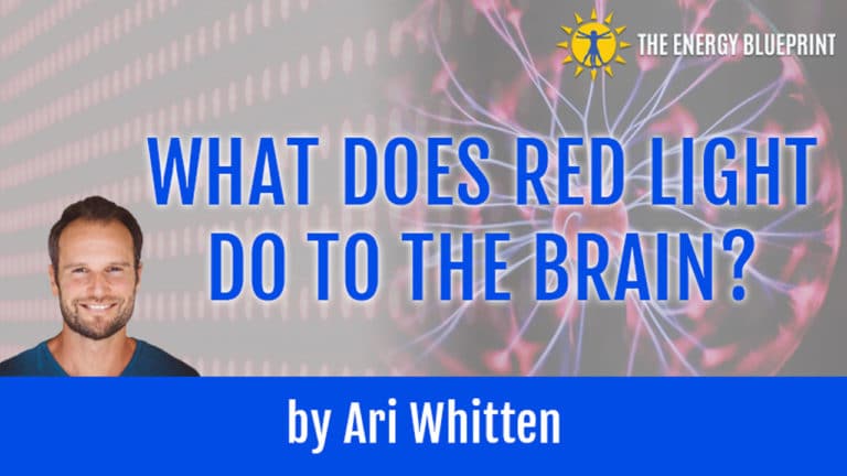 What Does Red Light Do To The Brain? - The Energy Blueprint