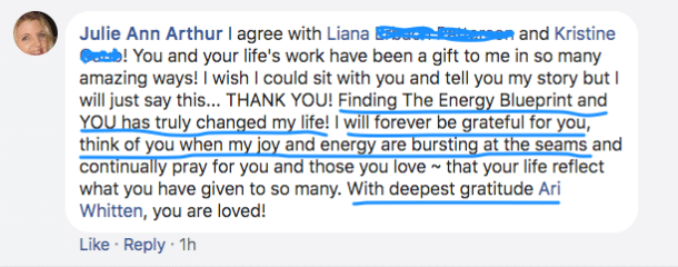Reviews/Testimonials - The Energy Blueprint