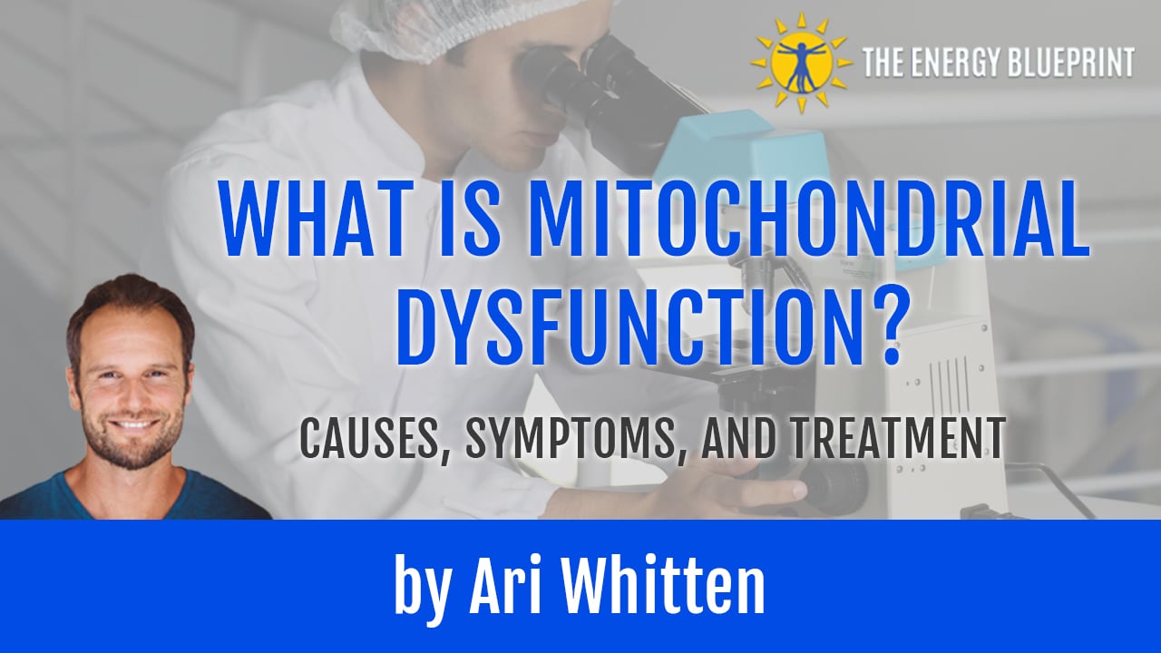 What is Mitochondrial Dysfunction? Causes, Symptoms, and Treatment ...