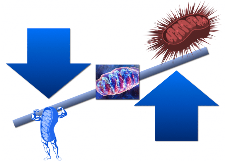 The Energy Blueprint CC V2 - The Energy Blueprint