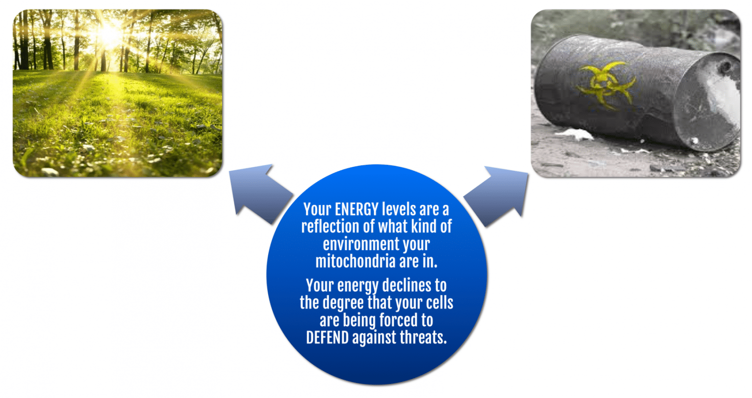 The Energy Blueprint CC V2 - The Energy Blueprint
