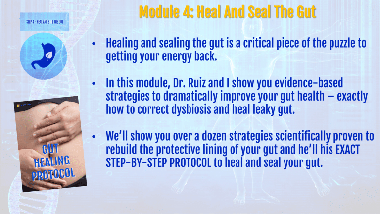 The Energy Blueprint - The Energy Blueprint