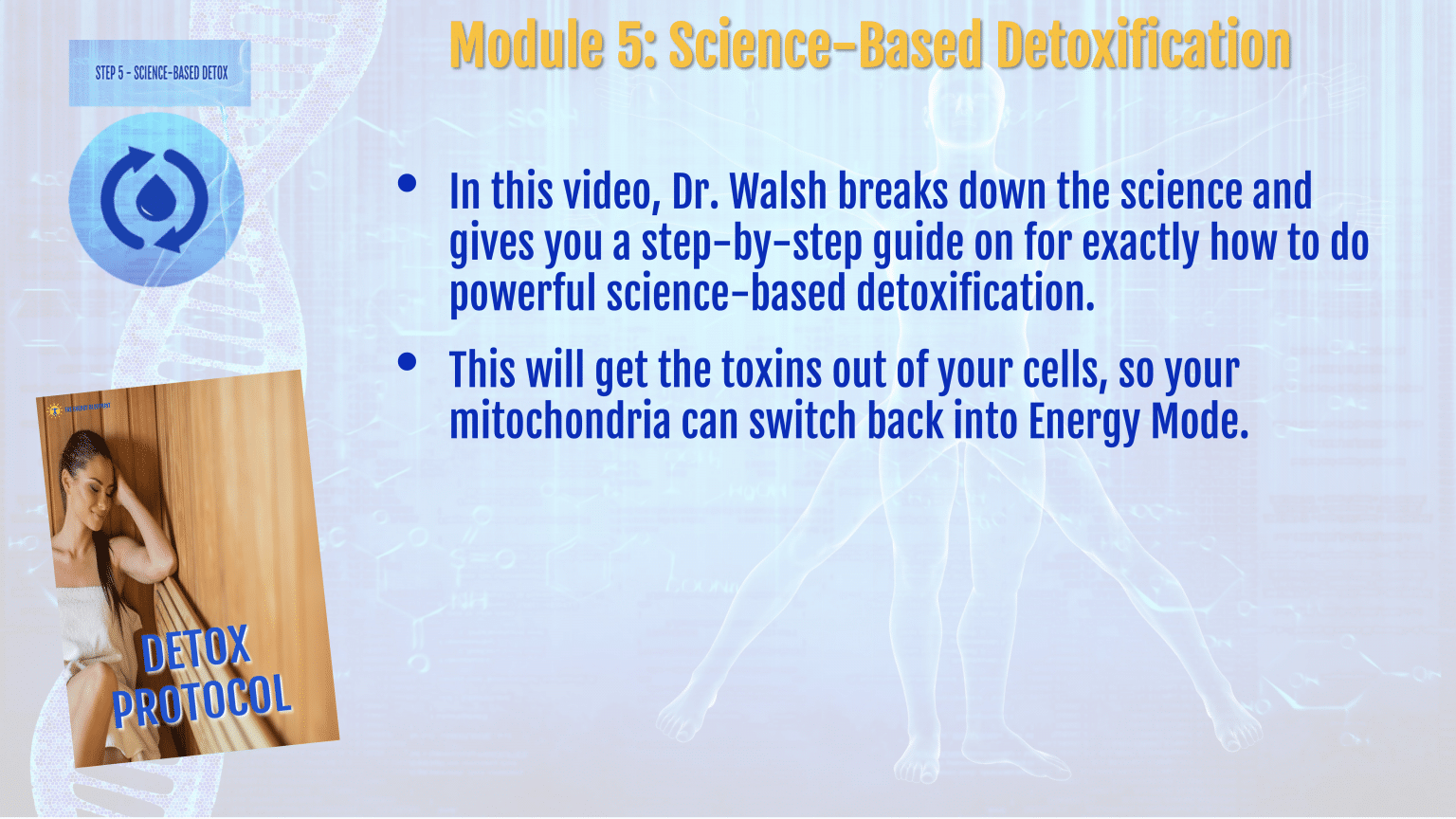 The Energy Blueprint - The Energy Blueprint