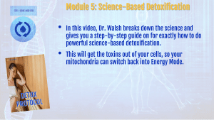 The Energy Blueprint - The Energy Blueprint