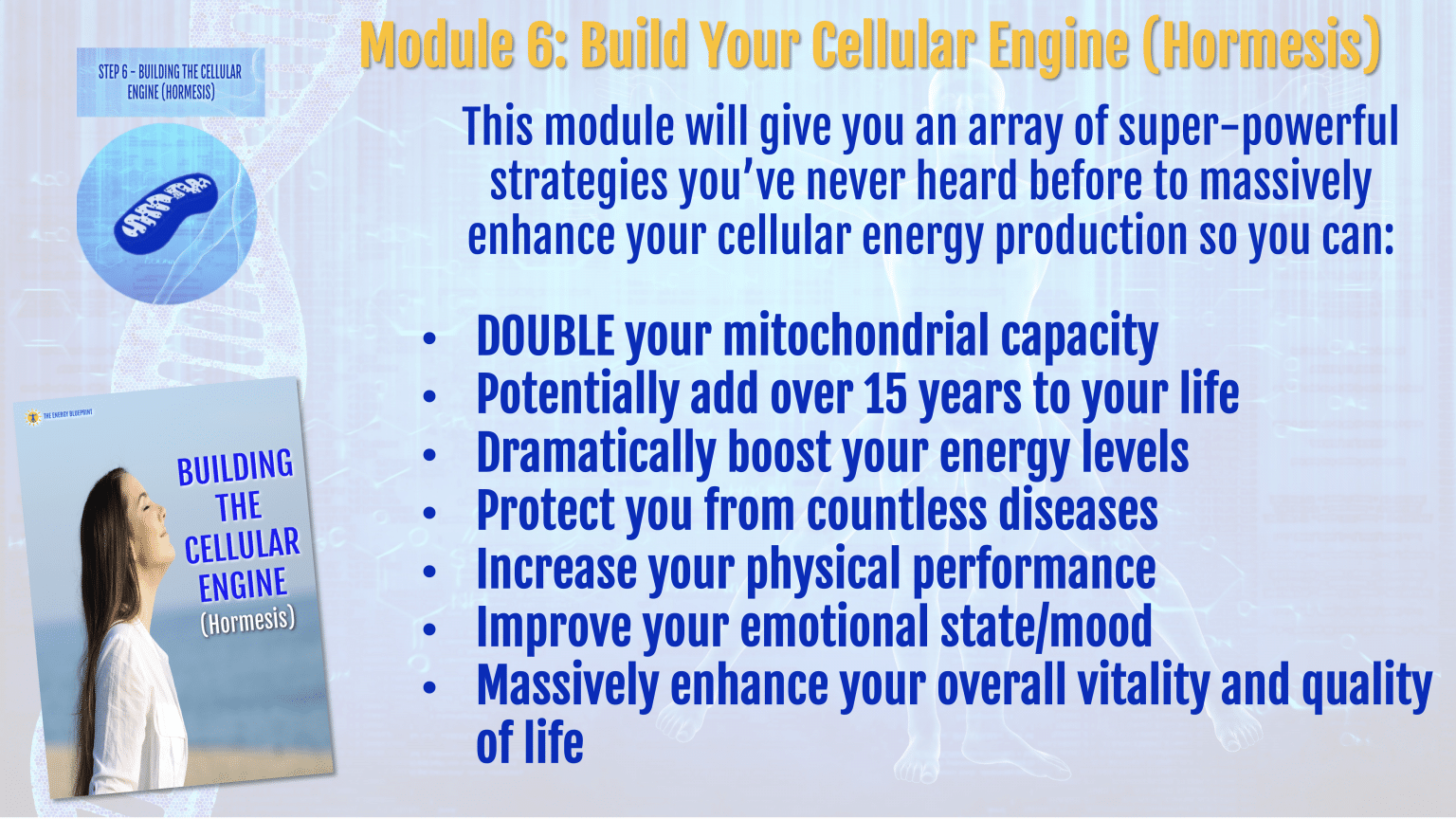 The Energy Blueprint - The Energy Blueprint