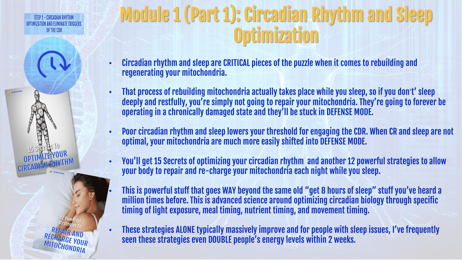 The Energy Blueprint - The Energy Blueprint