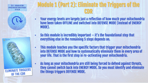 The Energy Blueprint - The Energy Blueprint