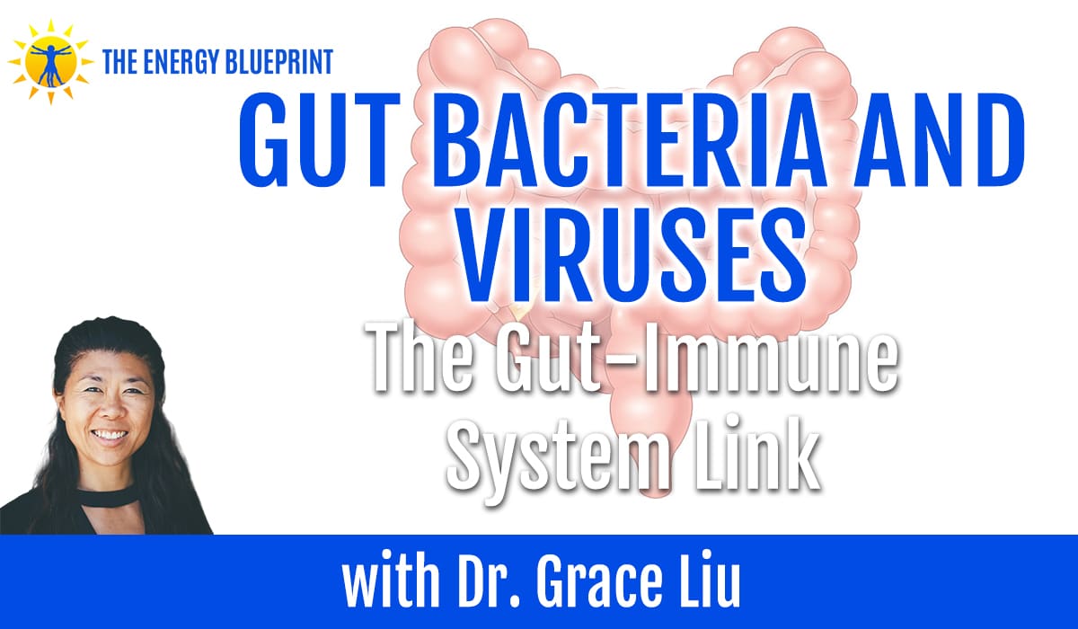 Gut Bacteria And Viruses The Gut Immune System Link with Dr. Grace Liu ...
