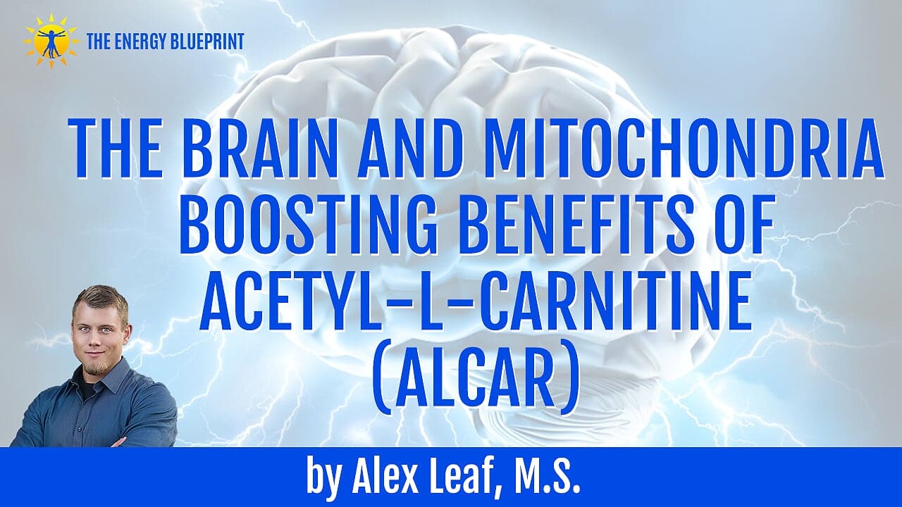 The Brain and Mitochondria Boosting Benefits of Acetyl-L-Carnitine ...