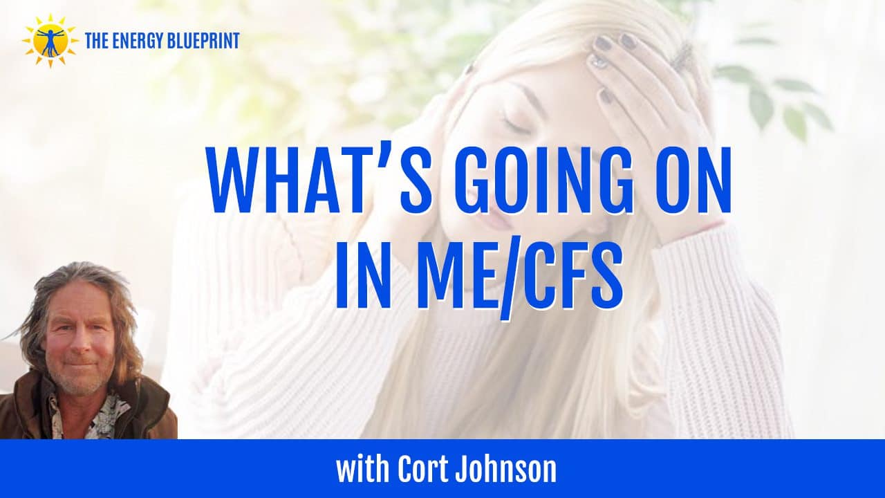 What’s Going on in ME/CFS (and top tips) with Cort Johnson - The Energy ...
