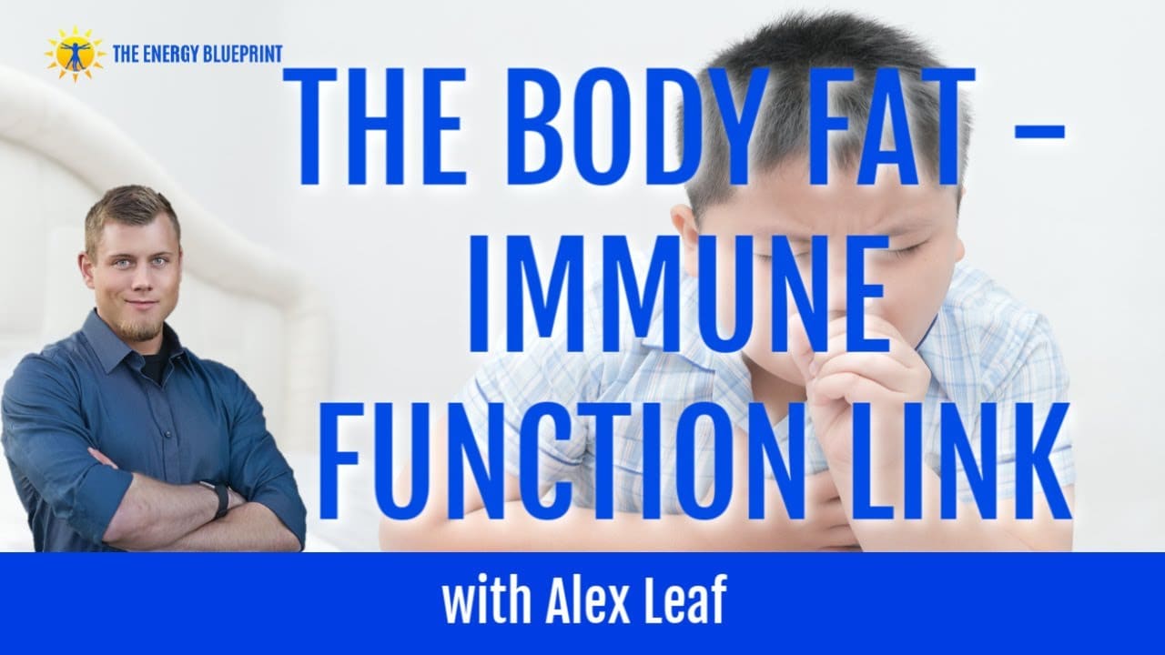 The Body Fat - Immune Function Link with Alex Leaf & Ari Whitten - The ...