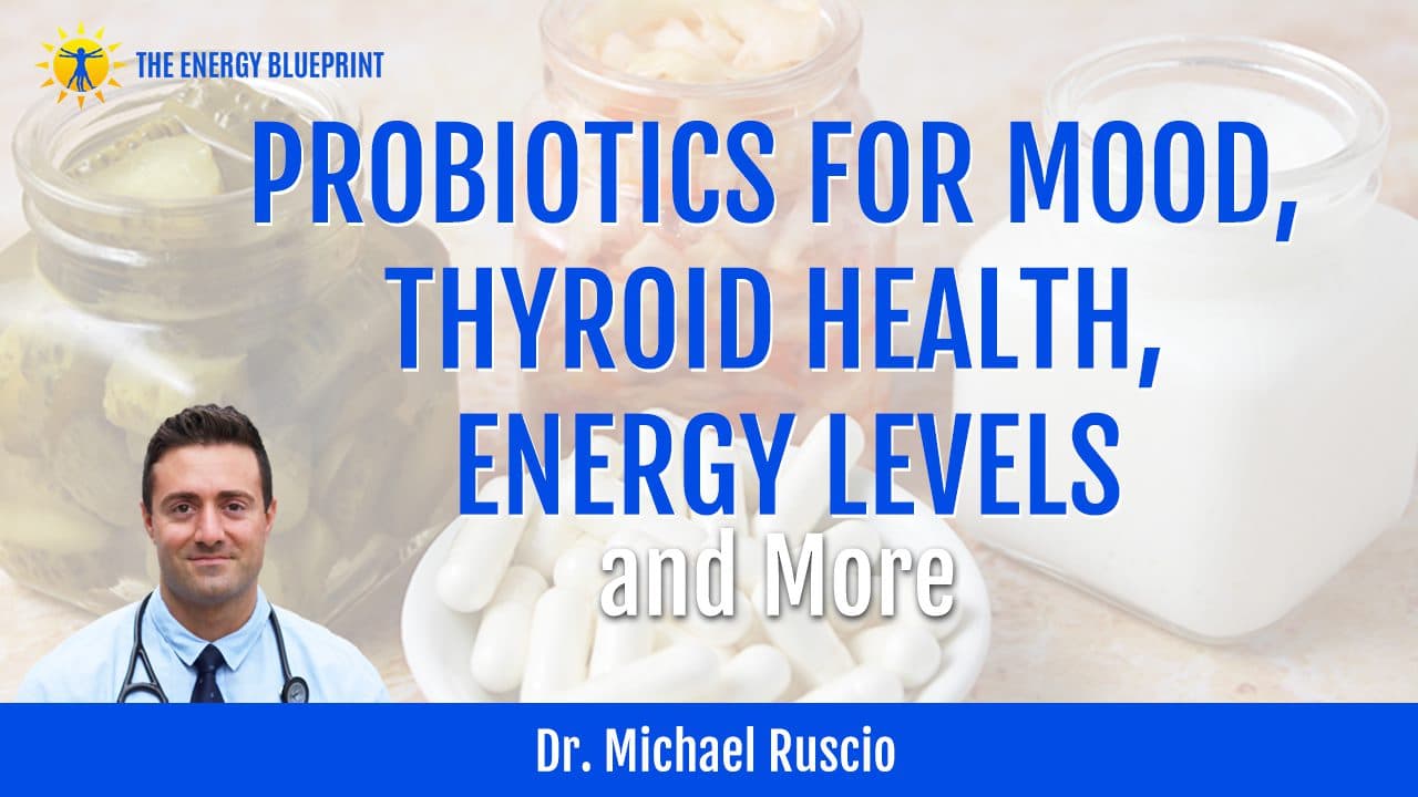 Dr. Michael Ruscio On Probiotics for Mood, Thyroid Health, Energy ...