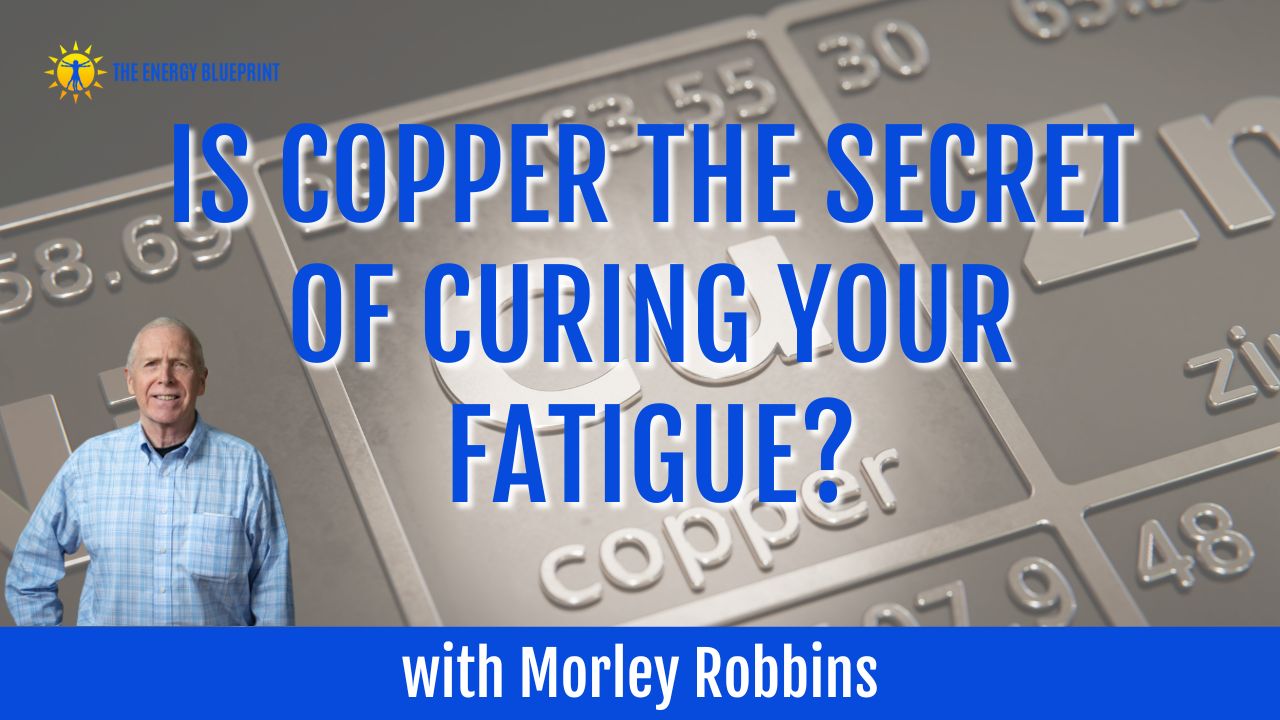 Is Copper The Secret of Curing Your Fatigue? with Morley Robbins - The ...