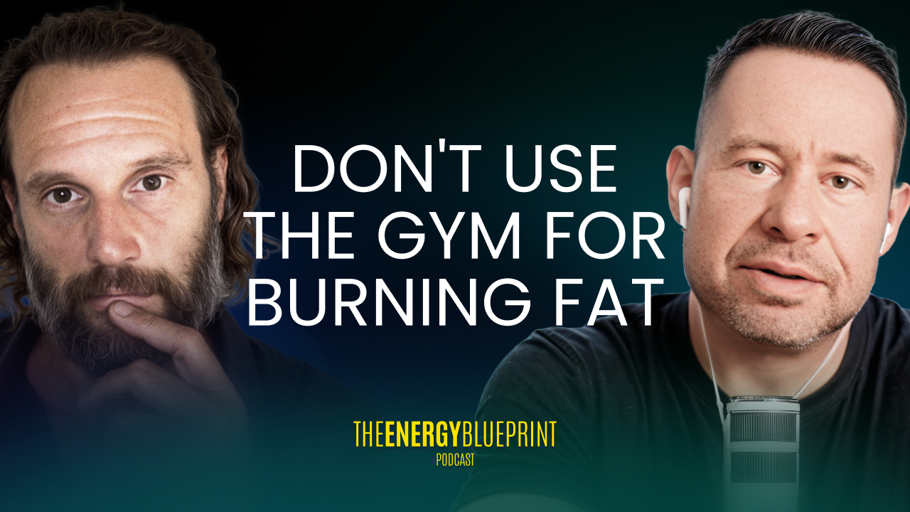 The Energy Blueprint - Cutting-Edge Science For Overcoming Fatigue and ...