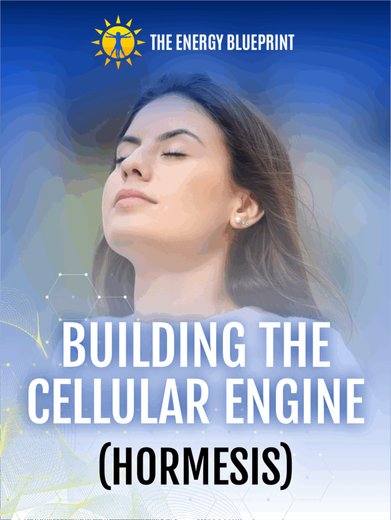 The Energy Blueprint CC V2 - The Energy Blueprint