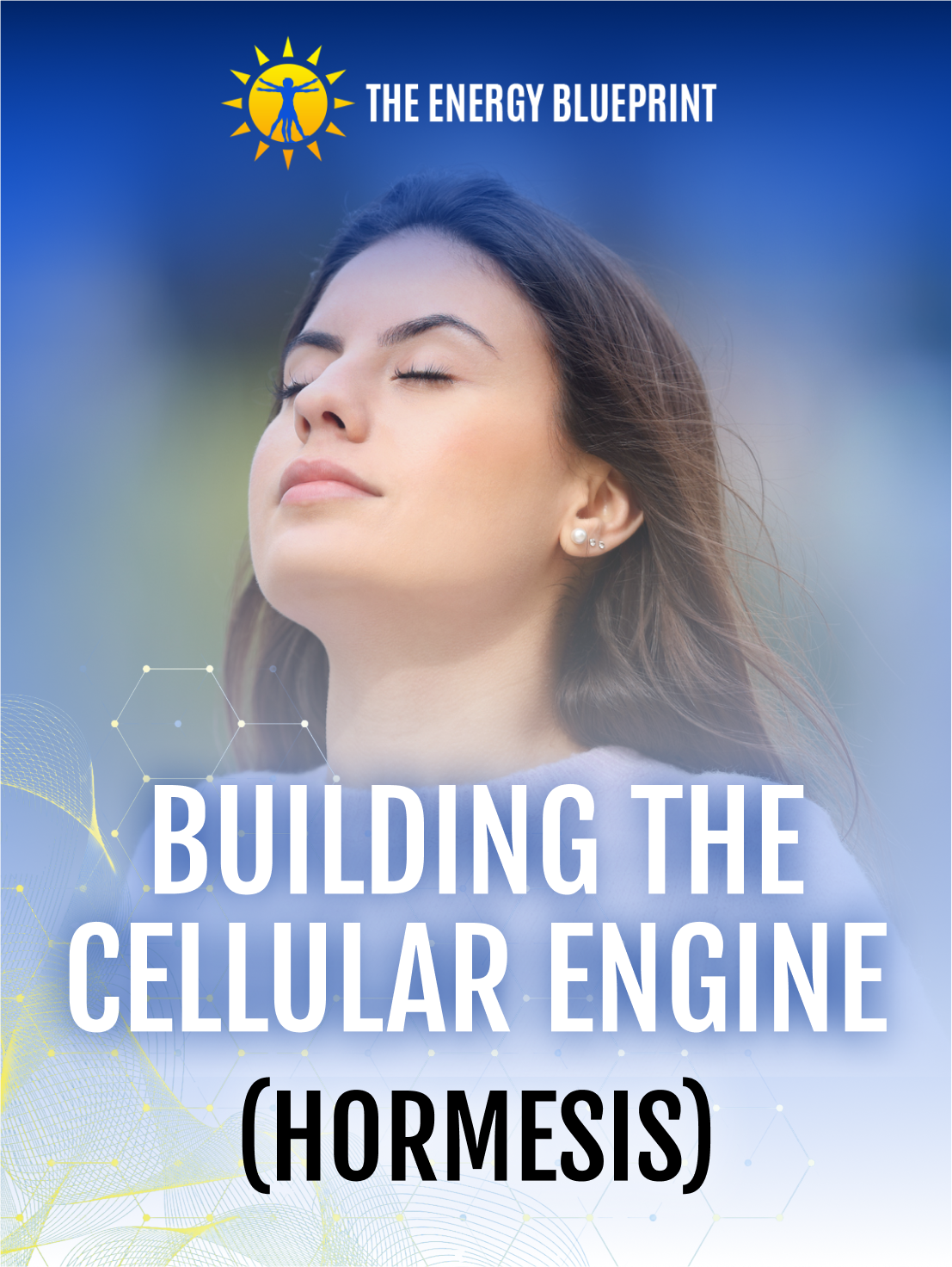 The Energy Blueprint CC V2 - The Energy Blueprint