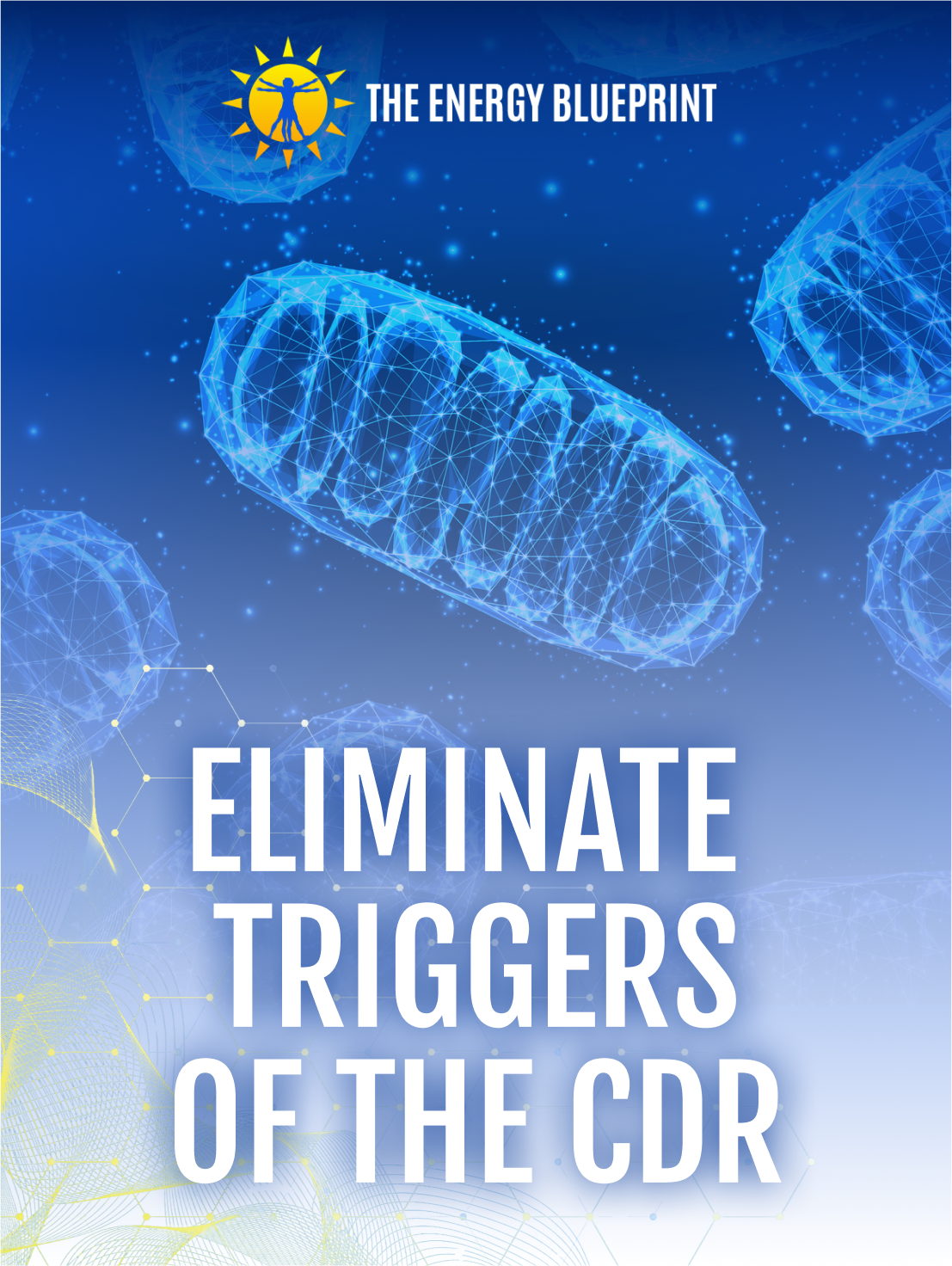 The Energy Blueprint CC V2 - The Energy Blueprint